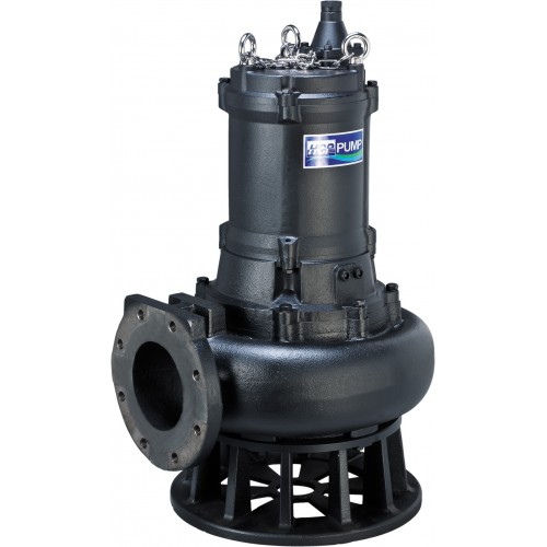 Raw Sewage Pump